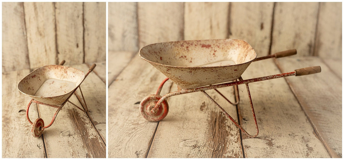 Mini Wheelbarrow – Rozzi Rayne