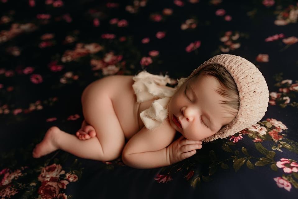 Nancy Beanbag Fabric – Rozzi Rayne